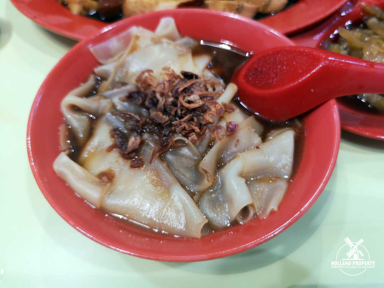 Cheng Heng Kway Chap and Braised Duck Rice - Holland Village Best Food ...